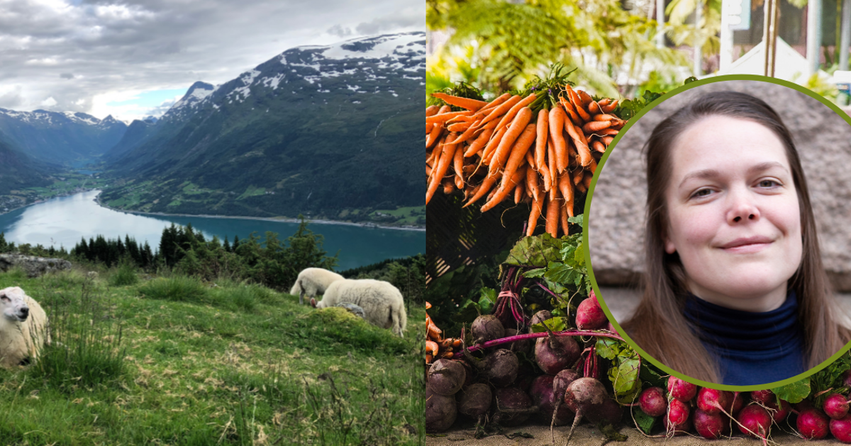 Nye kostråd kan svekke norsk beredskap | Norsk Bonde- og Småbrukarlag